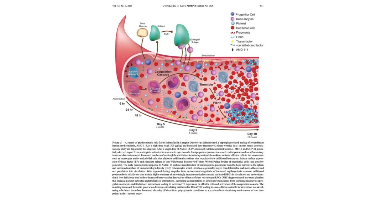 What We Do | Sephirus Communications – Sephirus Communications