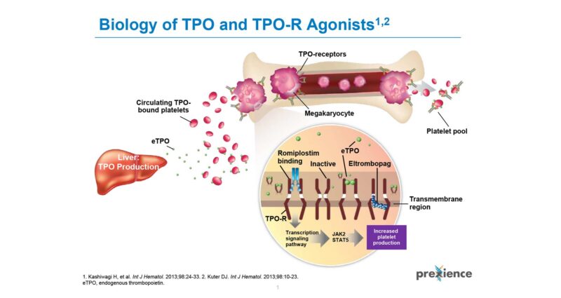 MOA Illustrations – Sephirus Communications